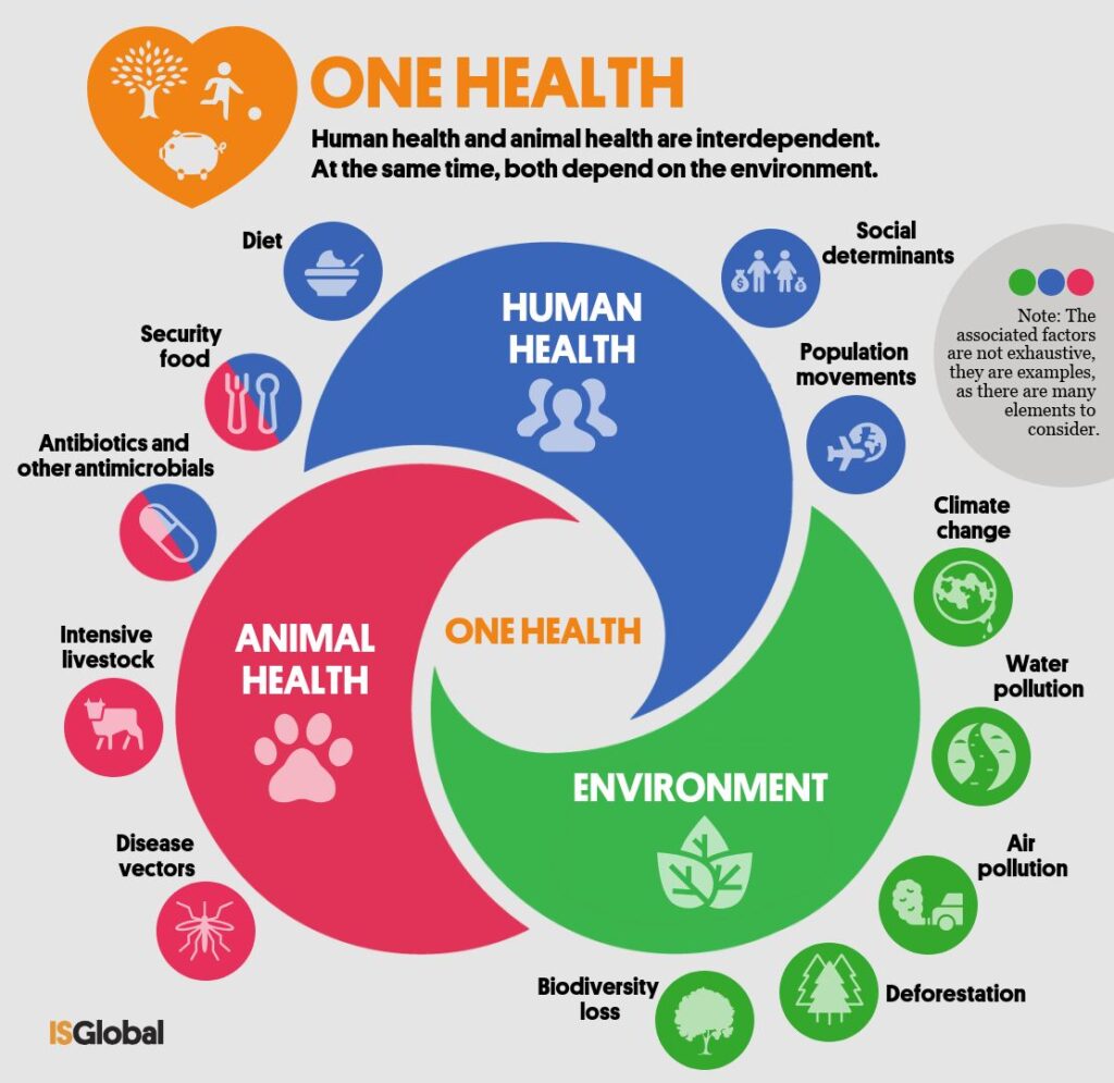 What Is the “One Health” Approach? - LabEuropa